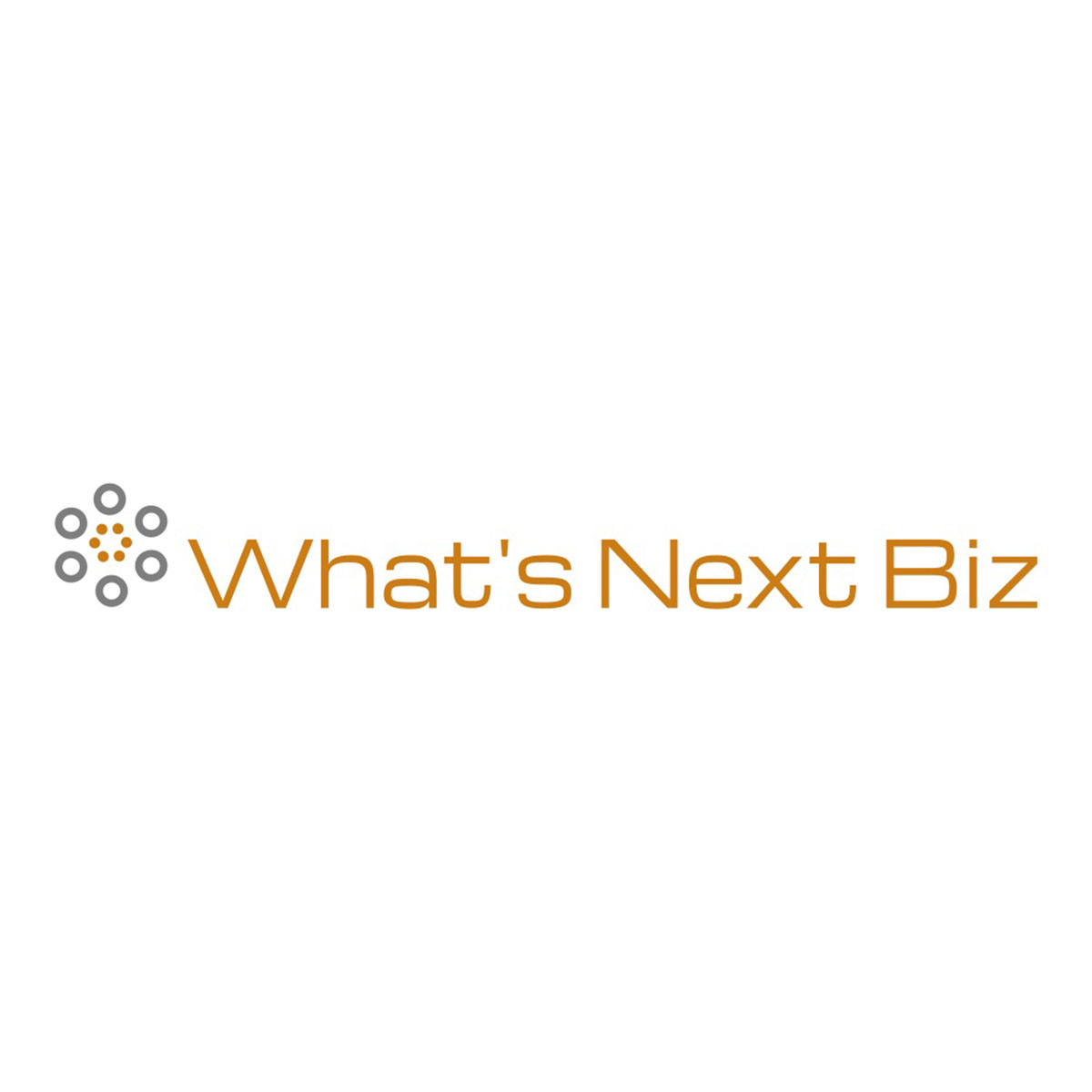 Our Services | What's Next Biz